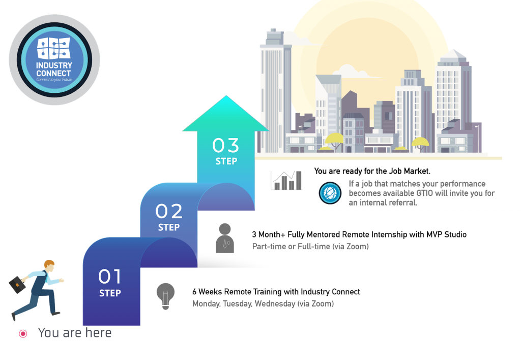 What does Business Intelligence Developer do? - INDUSTRY CONNECT